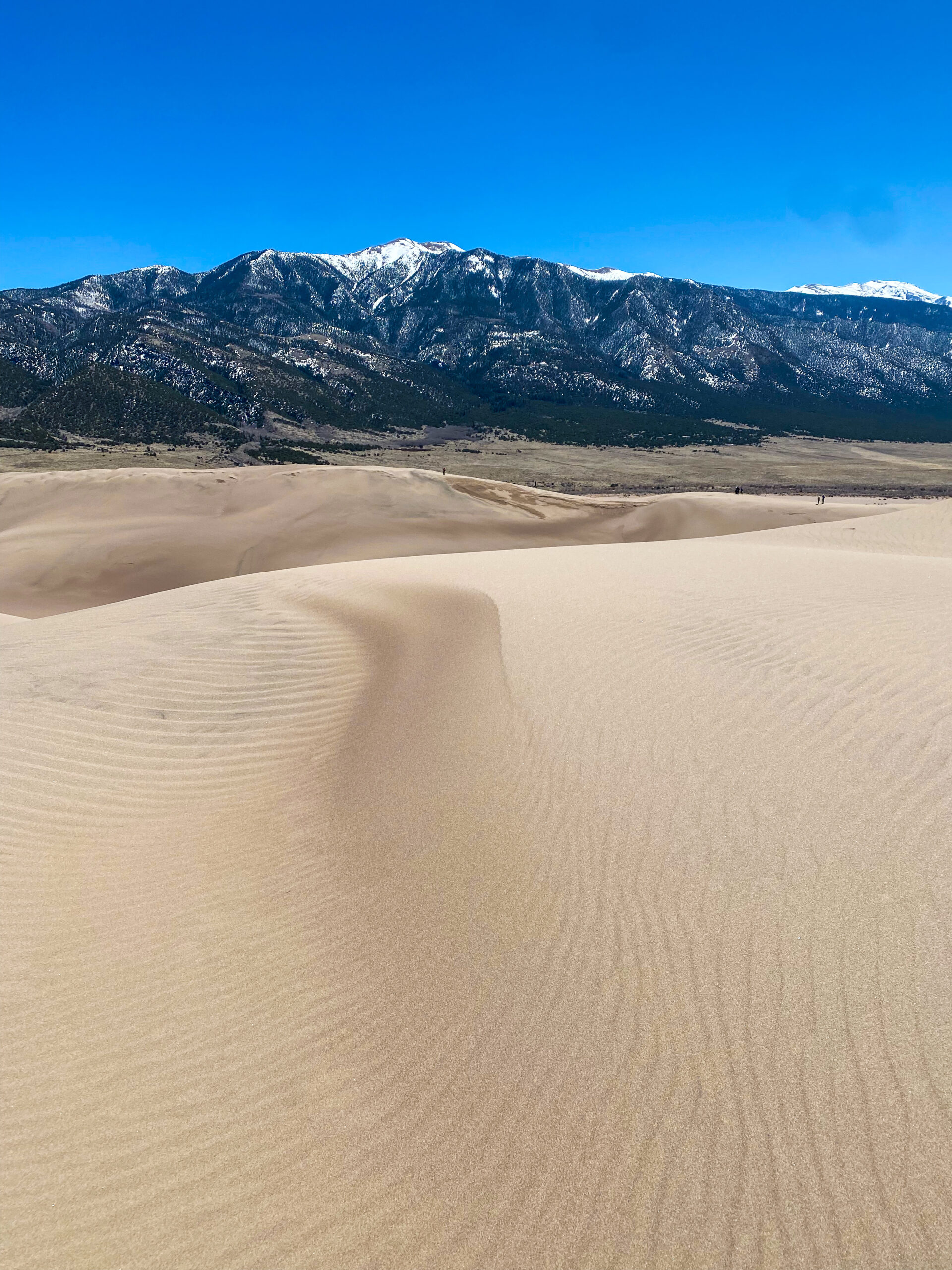 In The Shadows of Giants: Exploring Great Sand Dunes National Park ...
