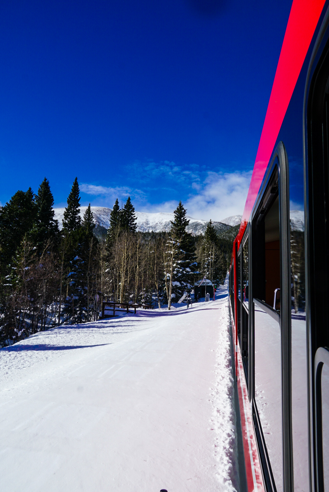 Snowy Peaks and Cozy Rides: Why Families Love The Pikes Peak Cog ...